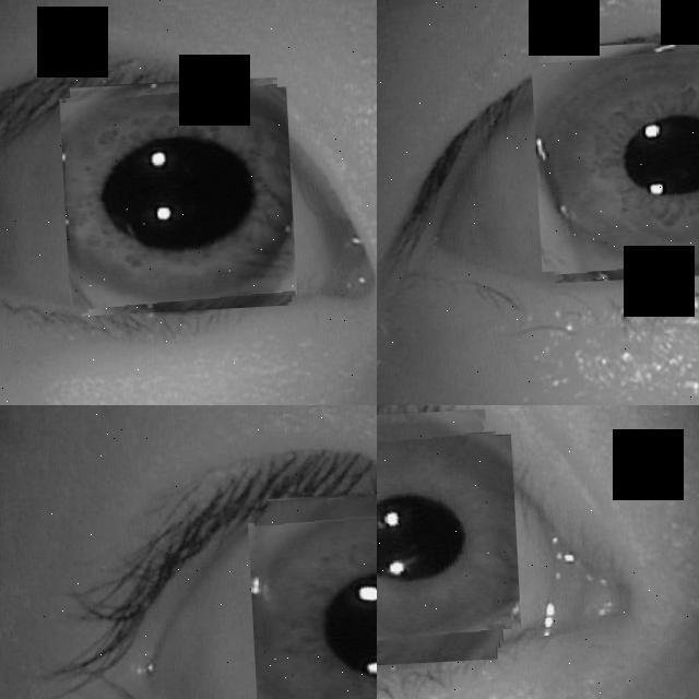 IRIS-Recognition_pfe Object Detection Dataset by HADJEM