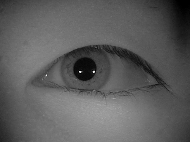 IRIS-Recognition 3 Object Detection Dataset by HADJEM