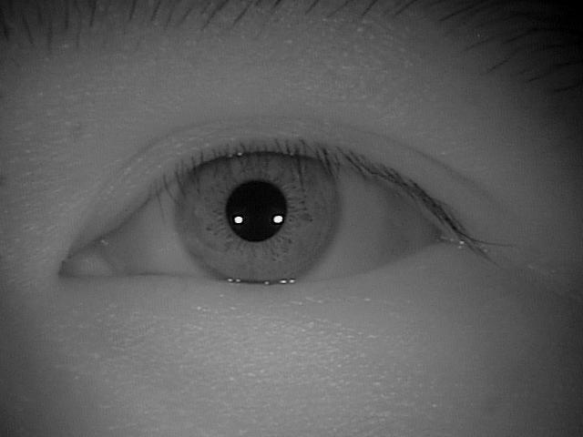 IRIS-Recognition 5 Object Detection Dataset by HADJEM