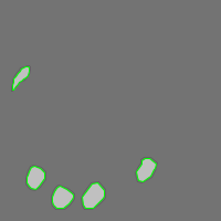 How to Use the nail segmentation Instance Segmentation API