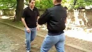 Human-Fighting Object Detection Dataset by aigc