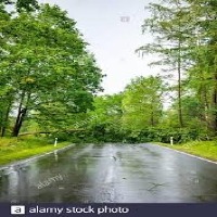 ft2 Object Detection Dataset by all