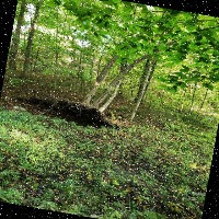 ft2 Object Detection Dataset by all