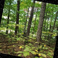 ft2 Object Detection Dataset by all