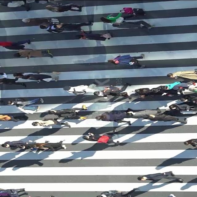 person detection Object Detection Dataset and Pre-Trained Model by ...