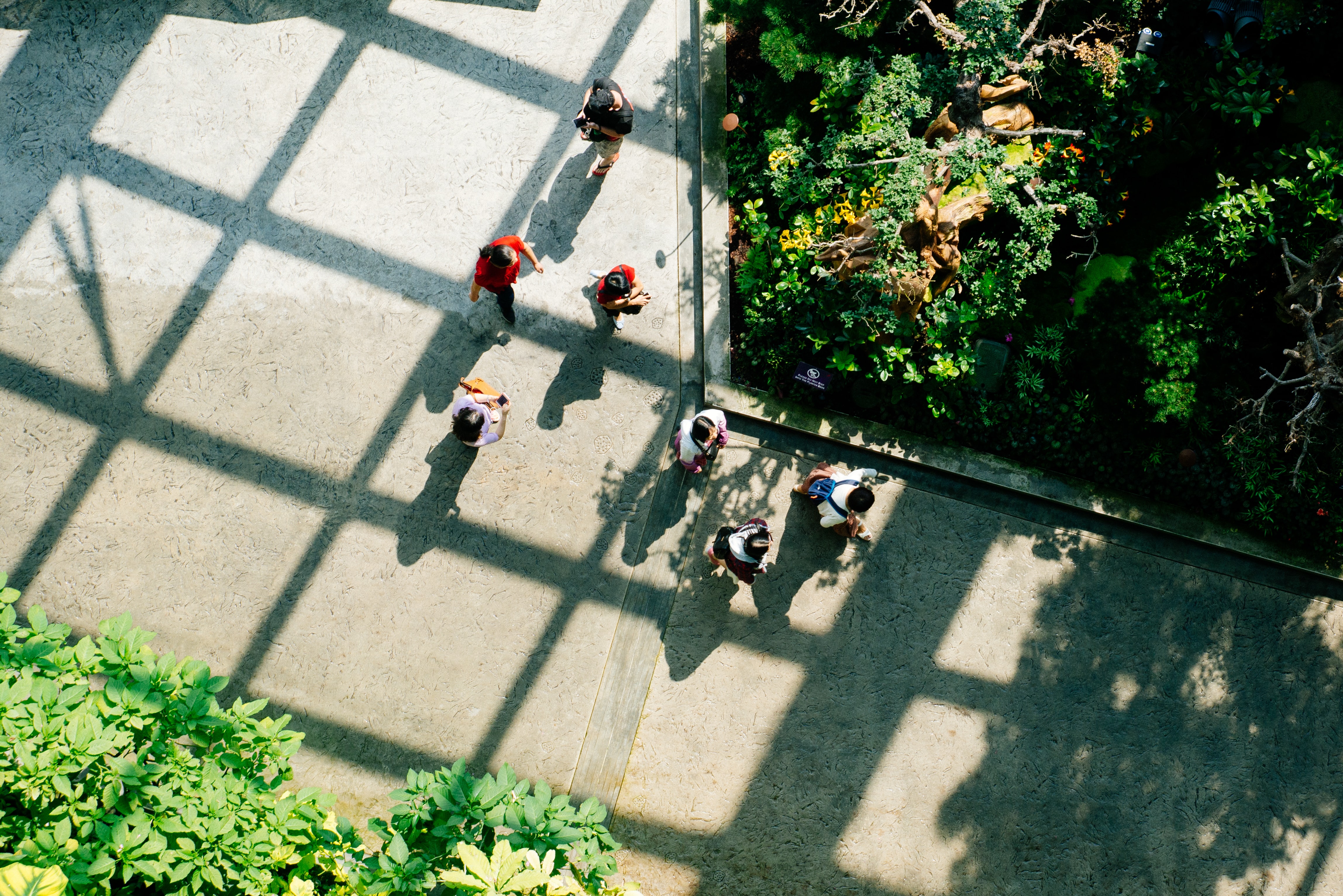Human Identification in aerial view images Object Detection Model by ...