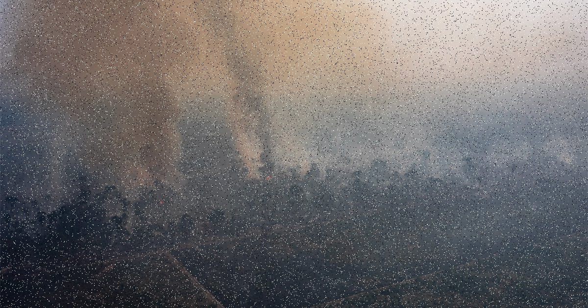 Natural Disasters Classification Dataset by Yolo Classification