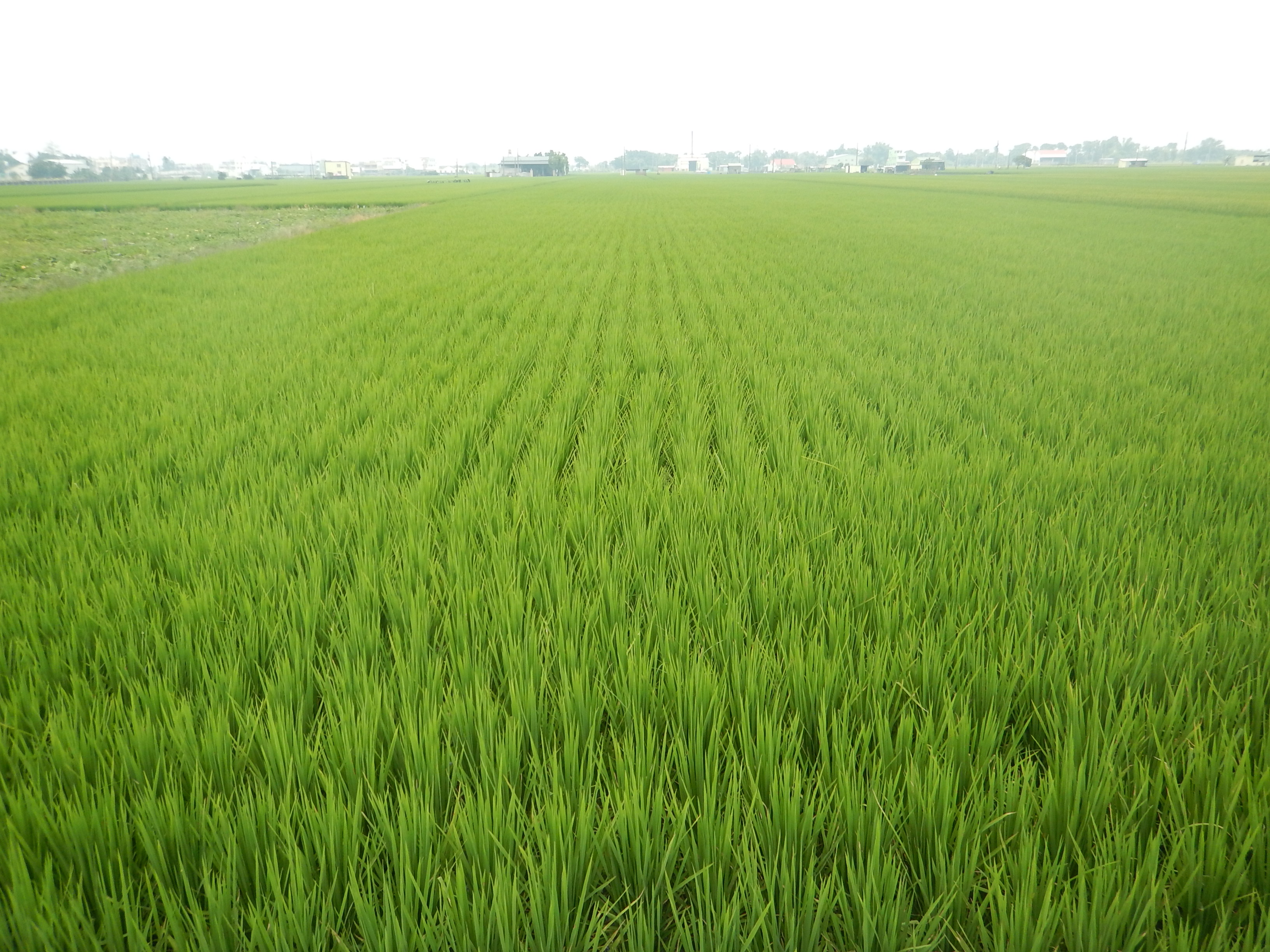 ew pkewpvkpqwekvrj pokqpvk [pl2 Object Detection Dataset by jack wu