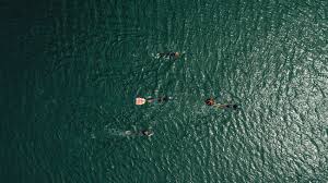 People Swimming Object Detection Model by MiniSolar