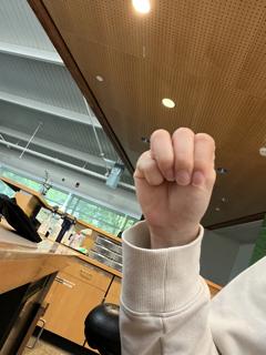 ASL-M Object Detection Dataset and Pre-Trained Model by polyu