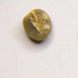 capstone Classification Model by capstone