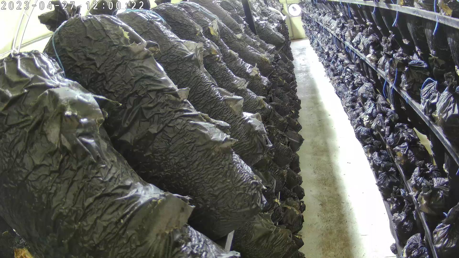 i swear to god i hope this works Object Detection Dataset by ROBOTICS ...