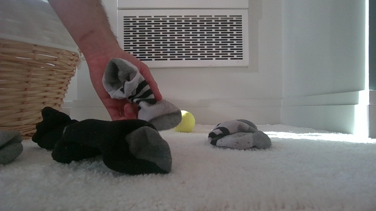 Socks Object Detection Dataset by lemon
