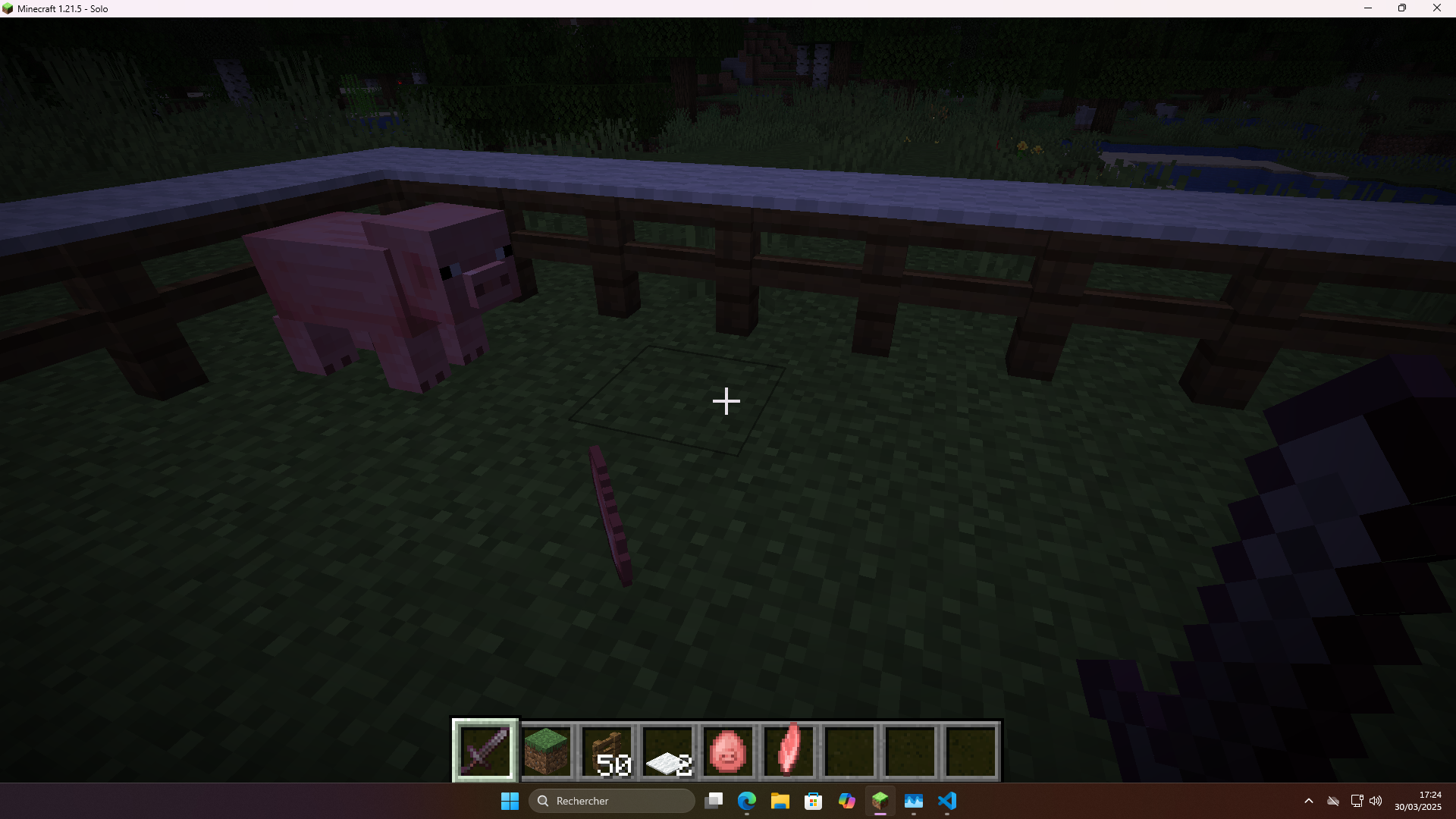 minecraft pig detection Object Detection Dataset by Fortnite Enemy Detection