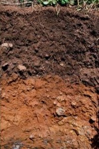 Instance 1 - FINAL Instance Segmentation Dataset by Thesis