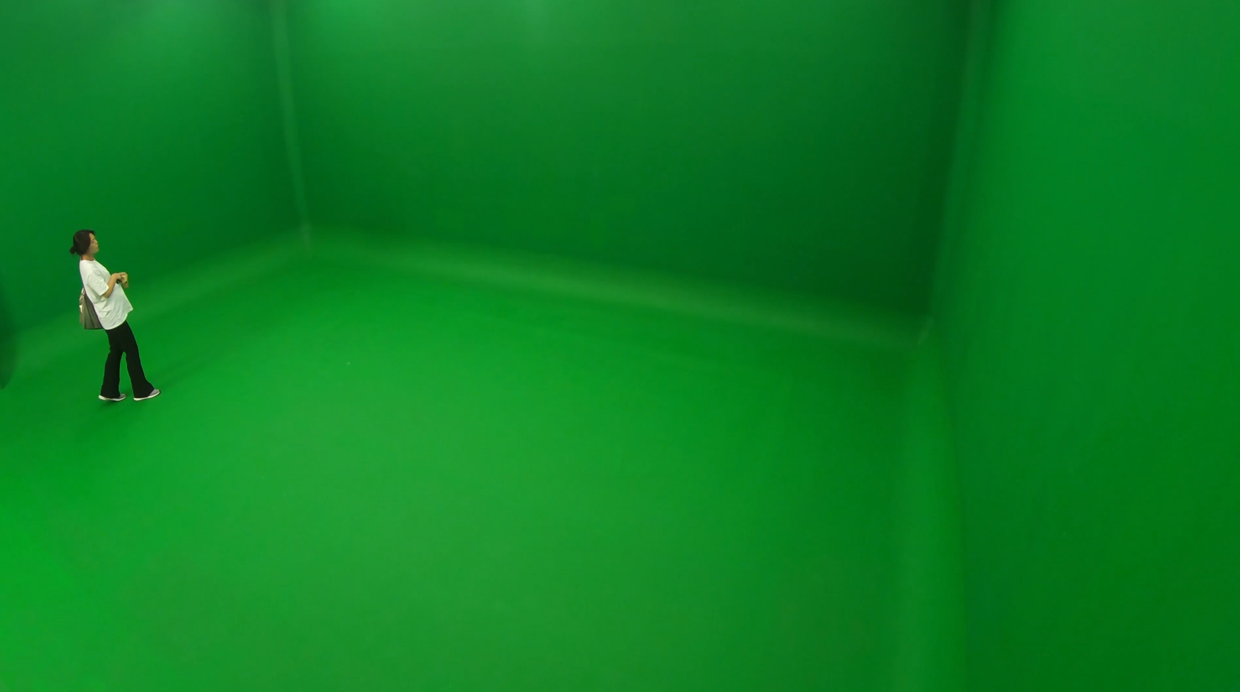 person_cctv Object Detection Dataset by project-v1nml