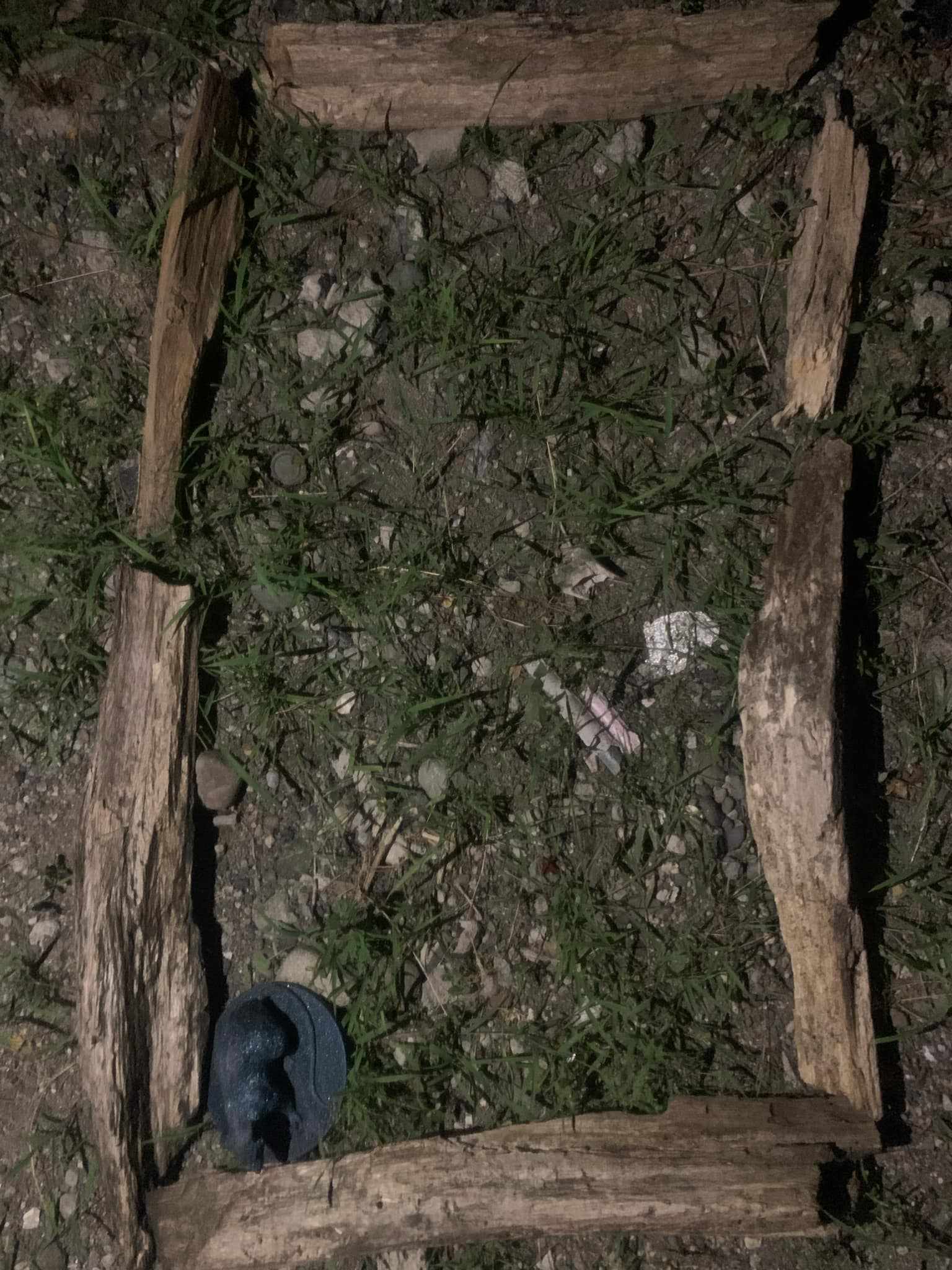 Trial Experimentation Rat Detect Object Detection Dataset And Pre
