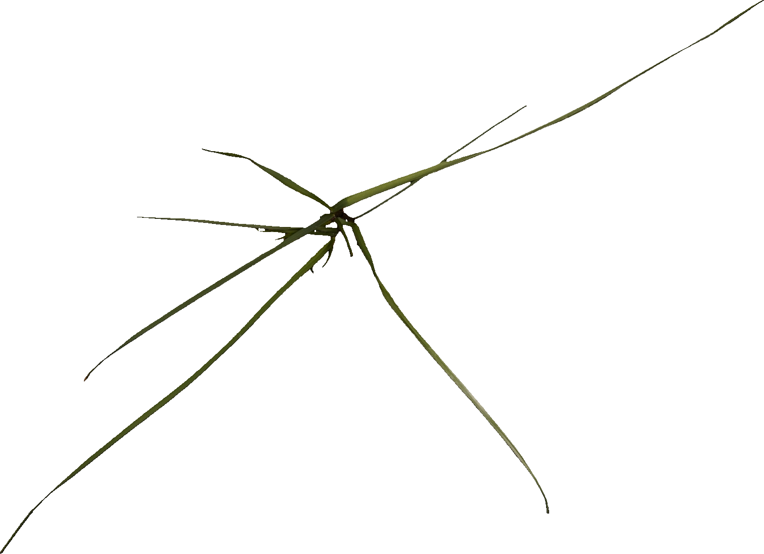 Guy Coleman - Roboflow Universe