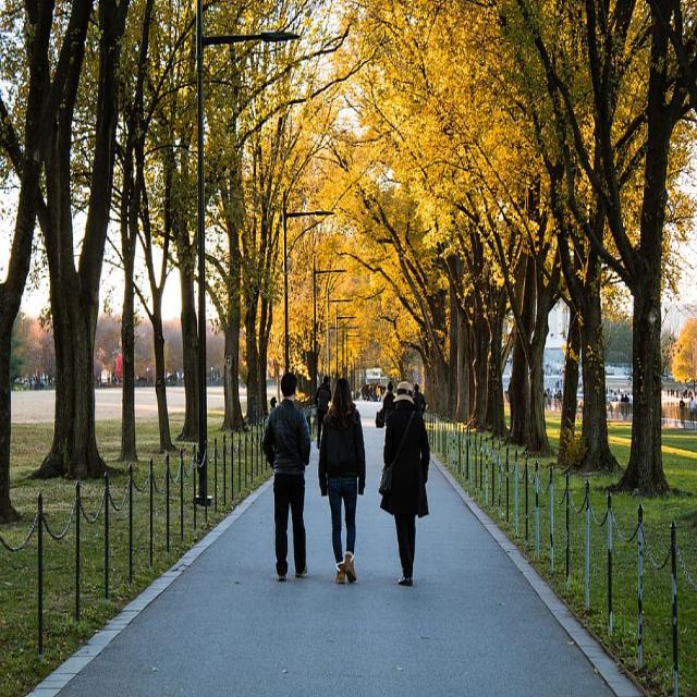 B2C Object Detection Dataset by FPT