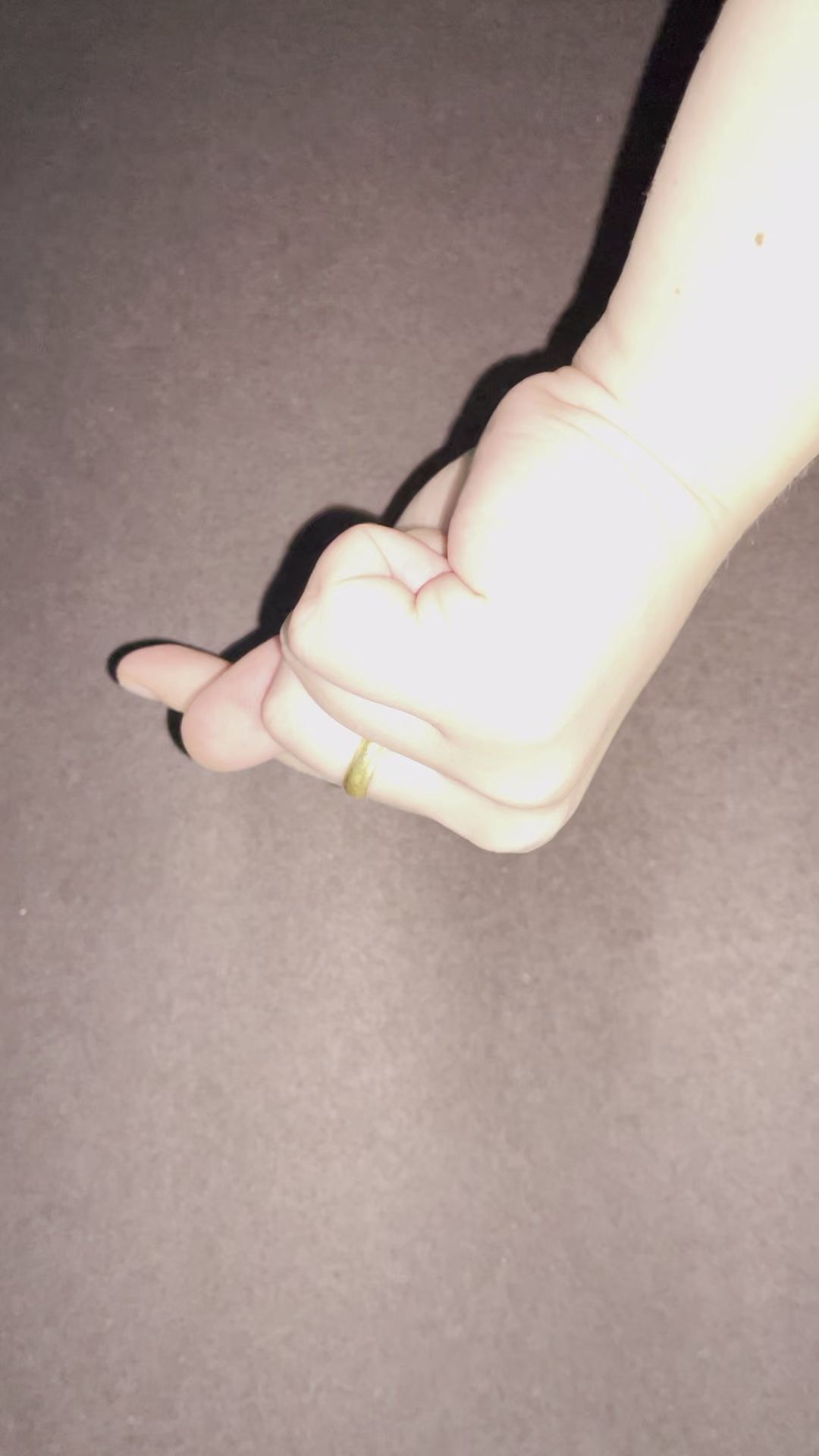 Sign Detection Object Detection Dataset and Pre-Trained Model by aditi