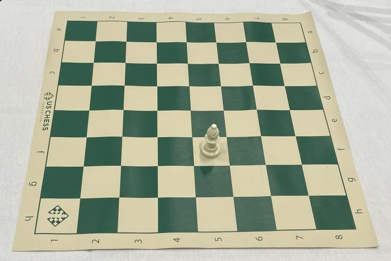 lion Object Detection Dataset (v1, 2022-11-04 9:10pm) by yolov4