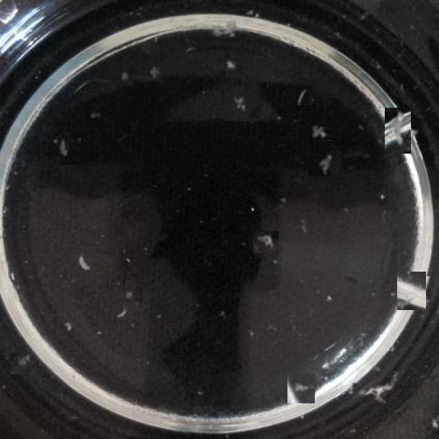 How To Use The Microplastic Detection Object Detection Api