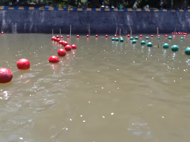 Bengawan UV Balls Detection Object Detection Dataset and Pre-Trained ...