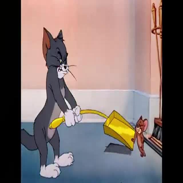 tom-jerry Object Detection Model by projet tl