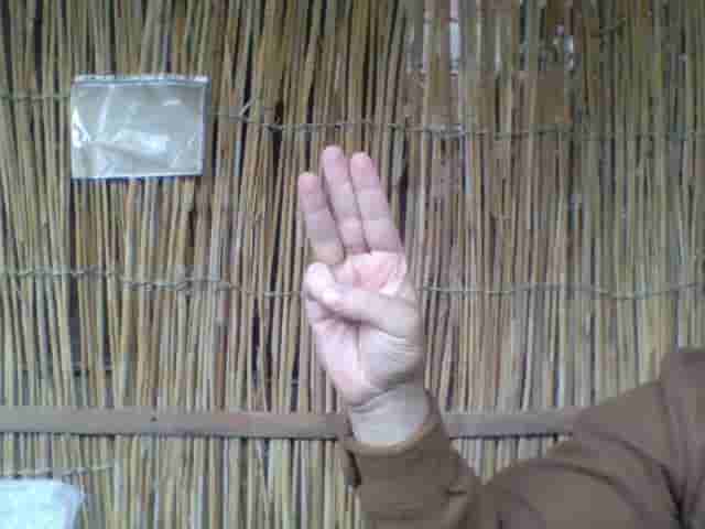 Sign Language Object Detection Dataset And Pre Trained Model By Sign Arabic Language