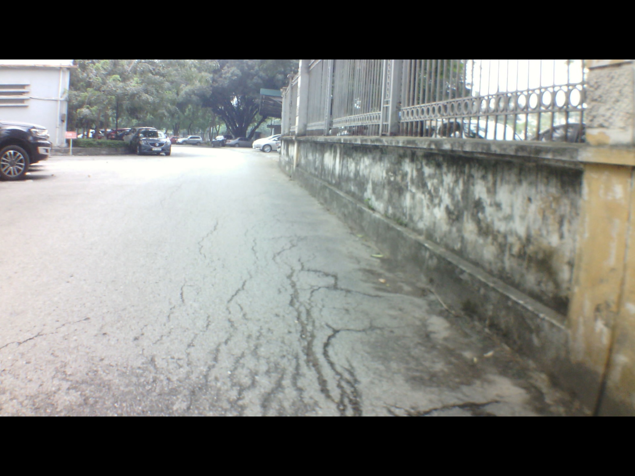 Segmenstation-LANE-YOLOV8 Instance Segmentation Model by SegmenstationLane