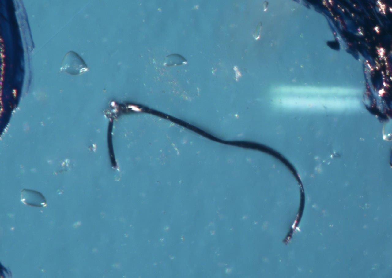 Microplastic in Water Dataset Instance Segmentation Dataset by miskatewu