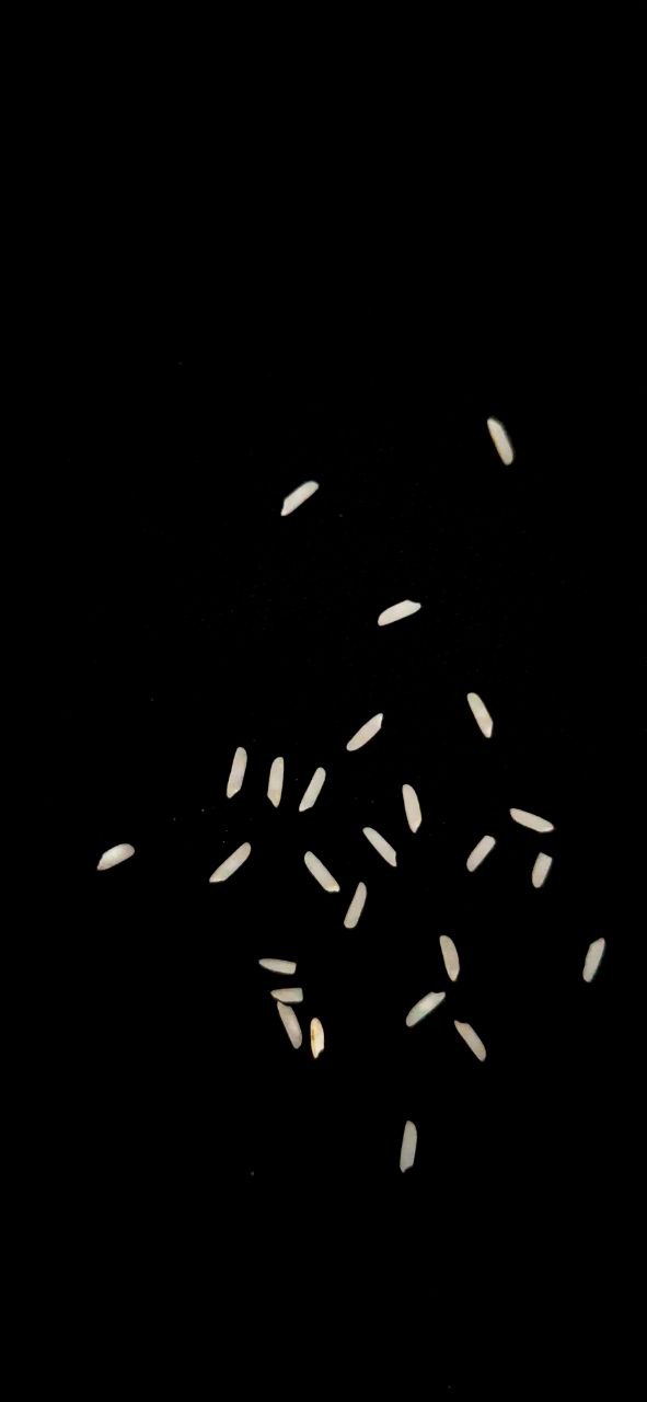 rice-detection-2 Object Detection Dataset by REDDIE UNIVERSE