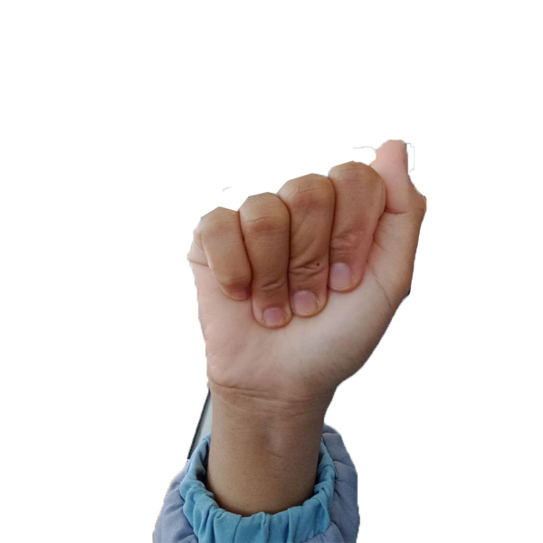 How to Use the SIGN LANGUAGE Object Detection API