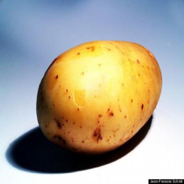 model potato Object Detection Dataset by Aya Hesham