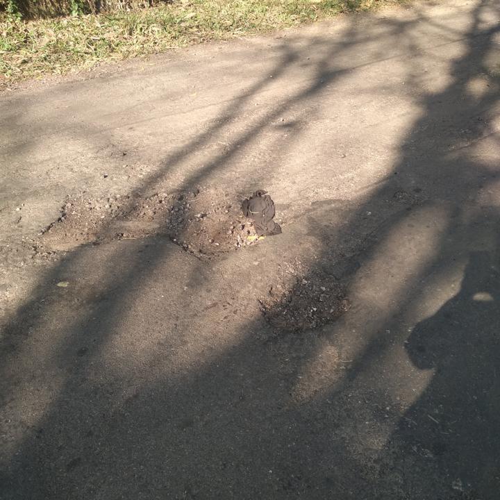 Photole Detector Object Detection Dataset by Diplomado