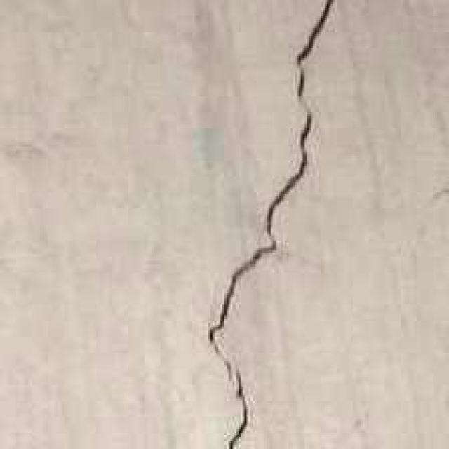 classroom-yellow-seg Instance Segmentation Dataset and Pre-Trained Model by shadow