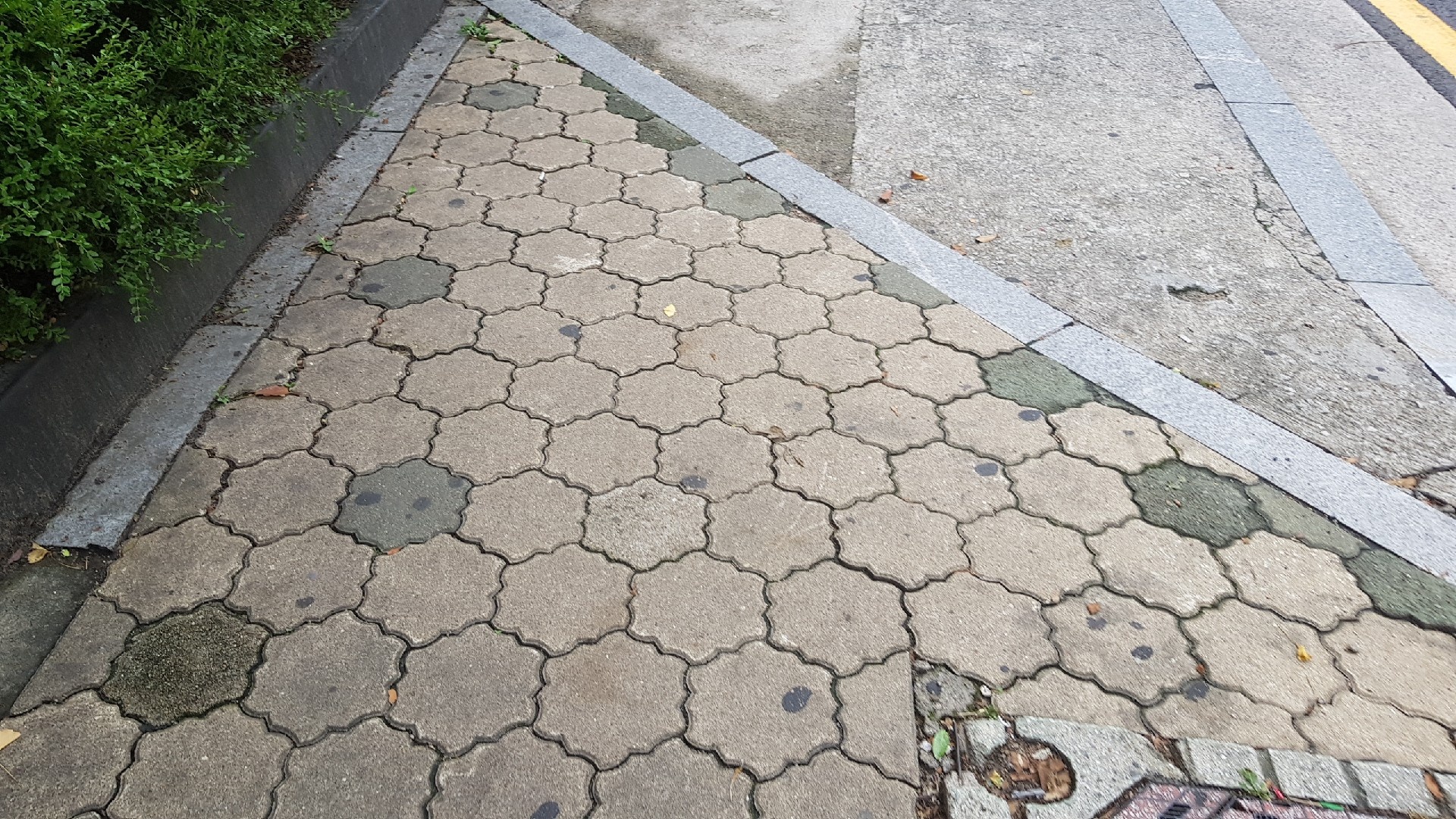 road_seg Instance Segmentation Dataset by INE