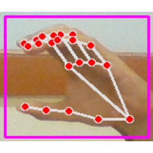 Hand detector Classification Model by STEM