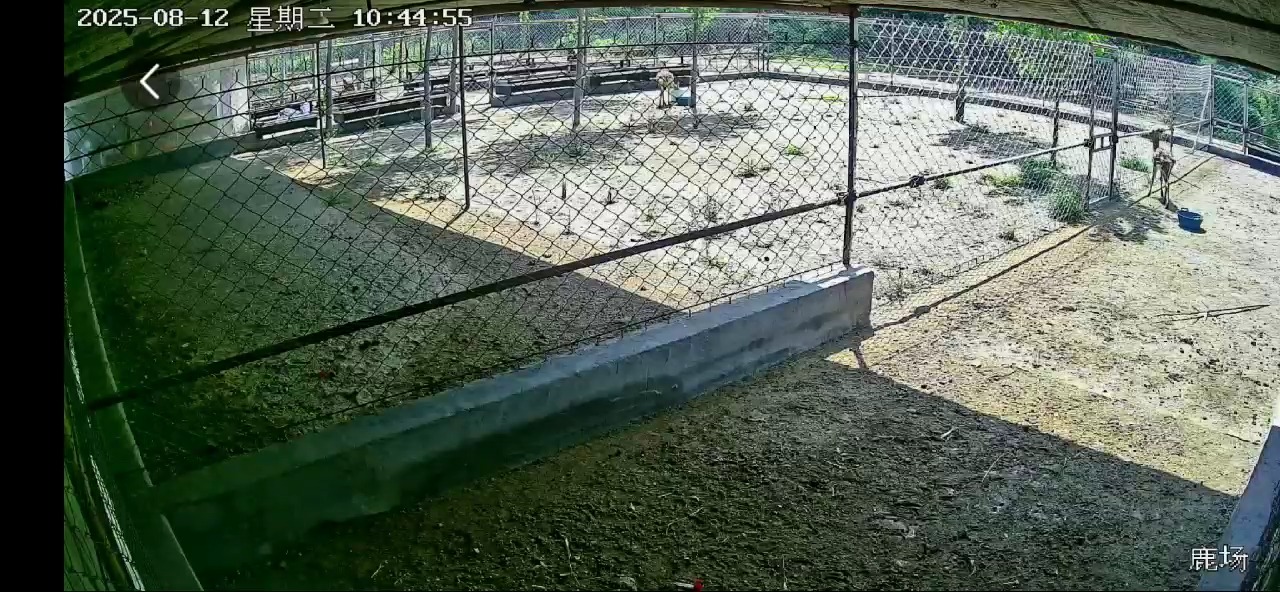 (project-o970x) - Roboflow Universe