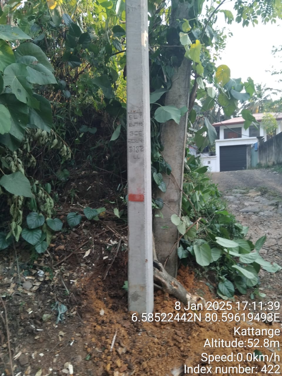 Ashini (ashini-xubwx) - Roboflow Universe