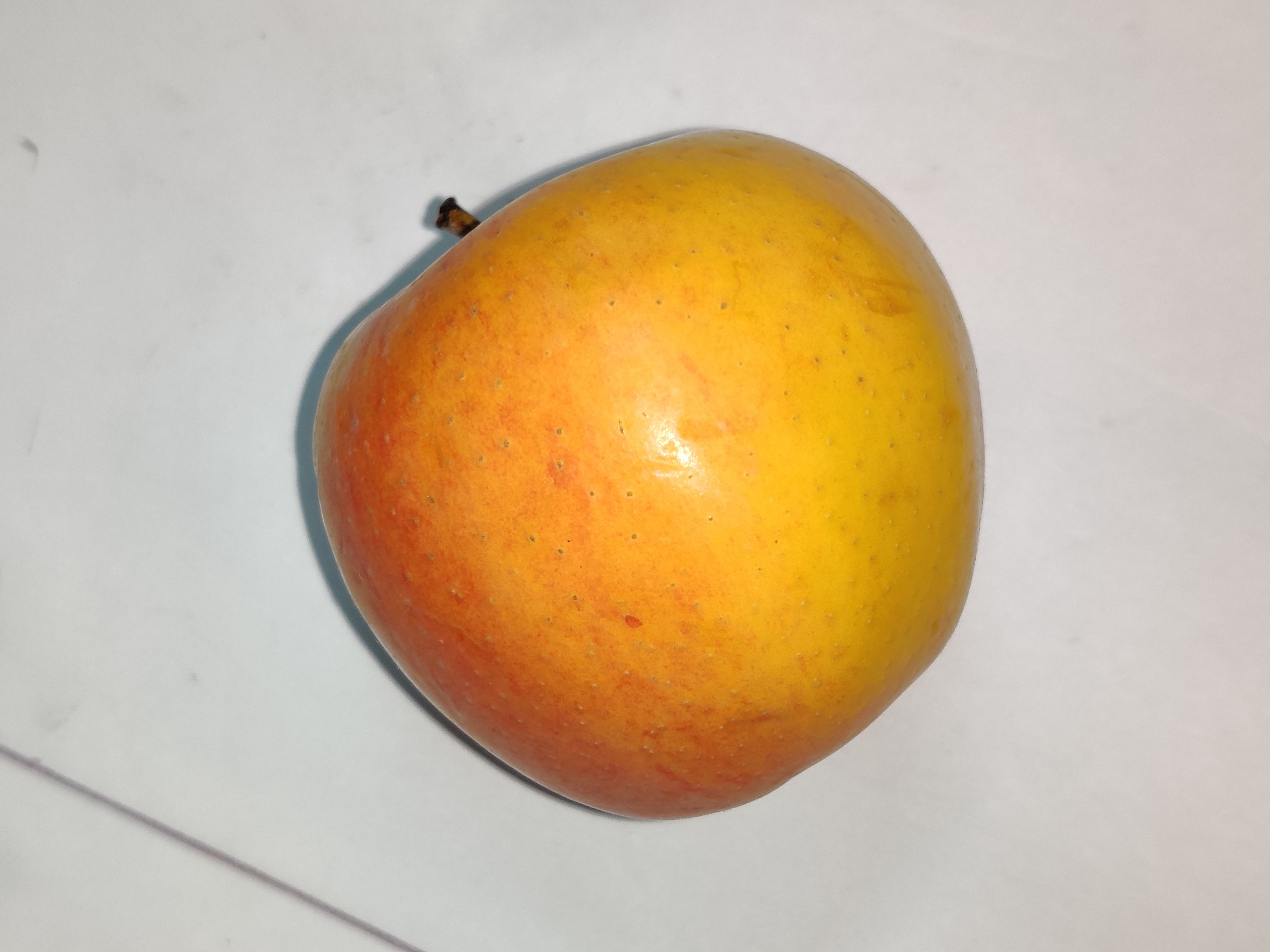 Fruits Object Detection Dataset by Pavithraprojects
