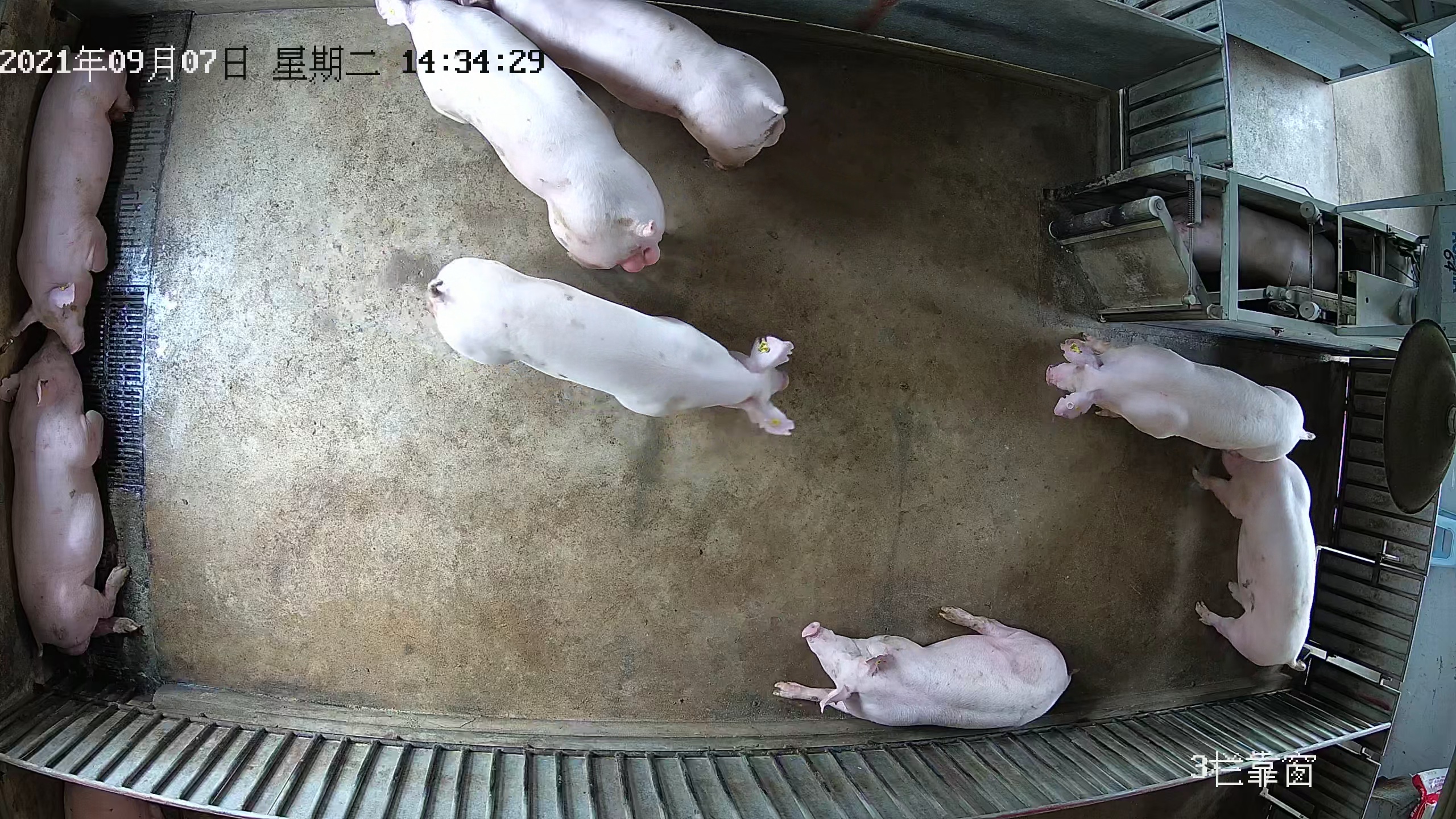 Verma Lab - Roboflow Universe