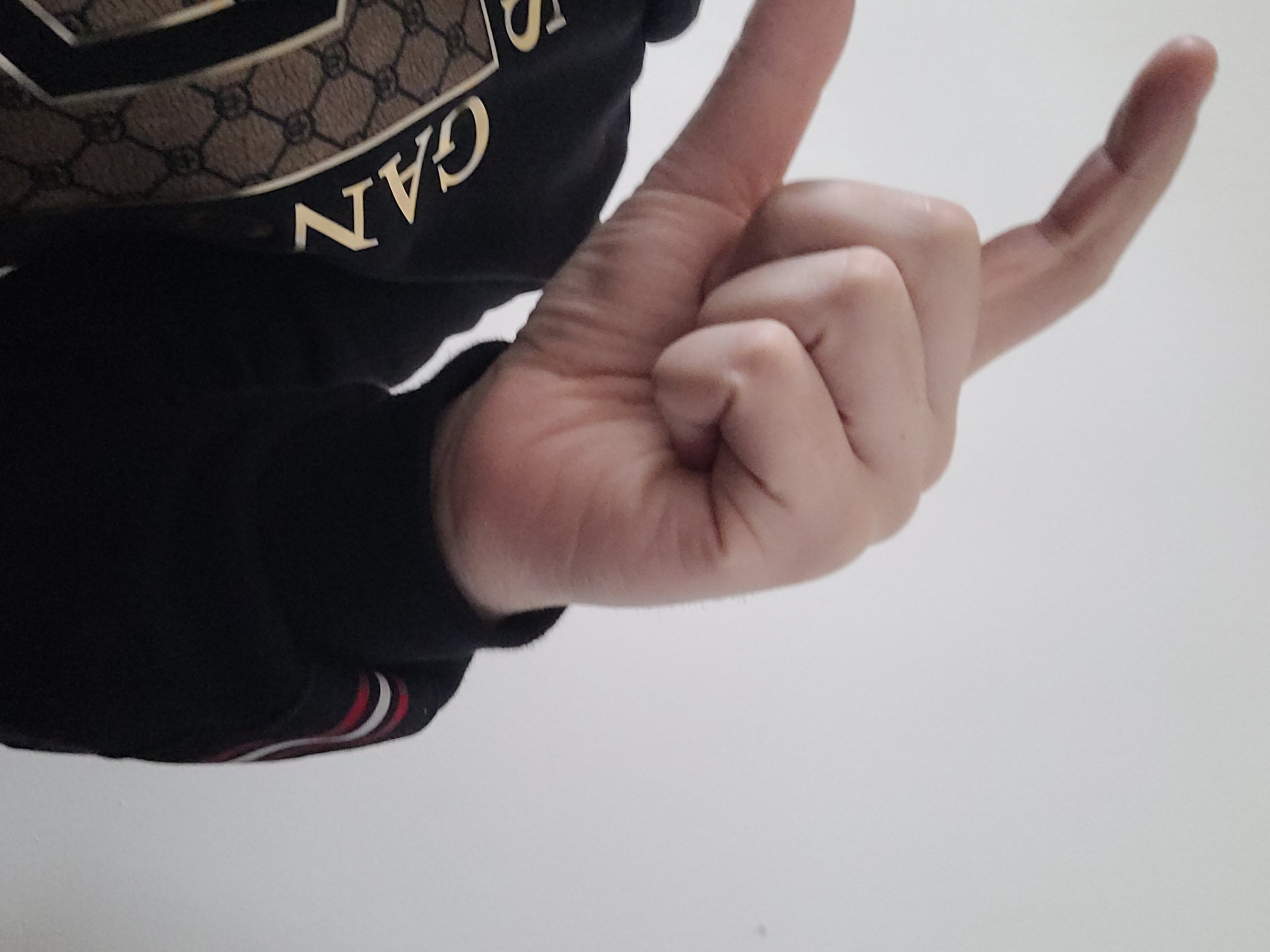 BSL_C Object Detection Dataset by AI Augmentation