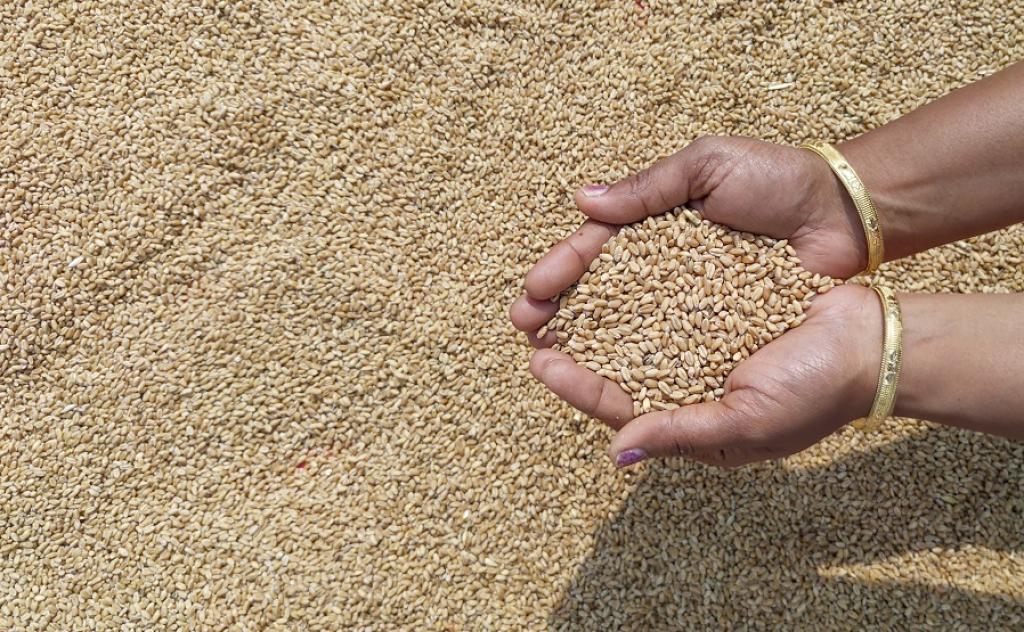 Energy Hack - Roboflow Universe