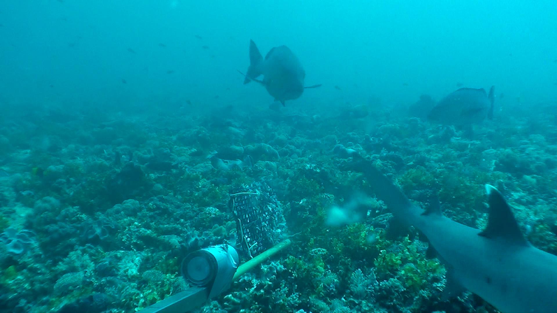 first_3900 Object Detection Model by lyas Emre nal