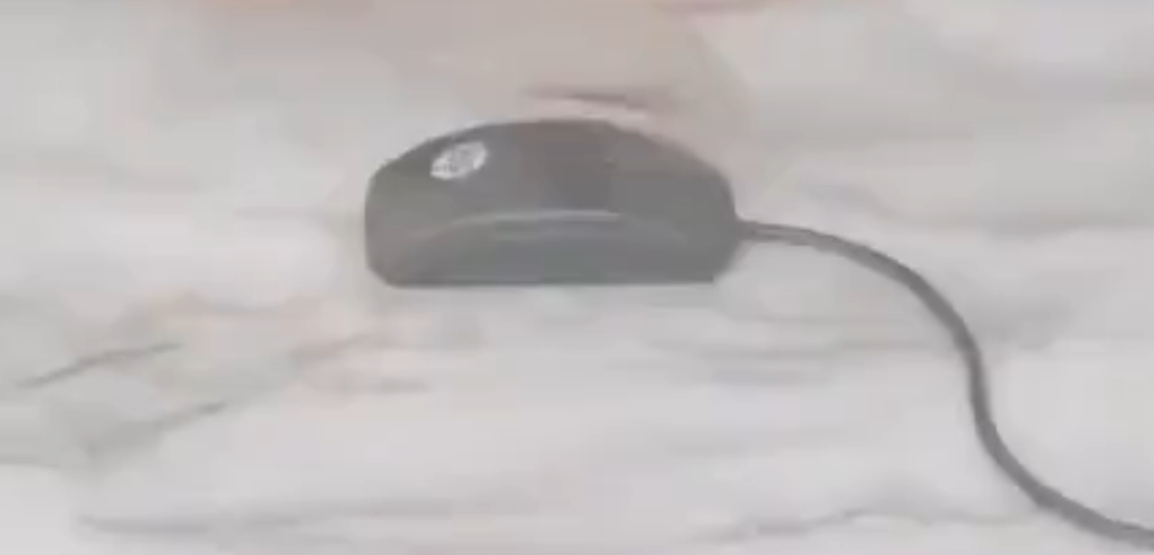 mouse Instance Segmentation Dataset by gizem