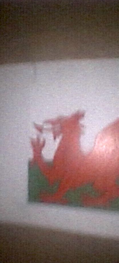 Flags Object Detection Dataset by Flags