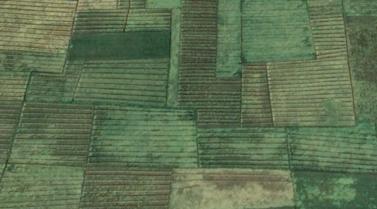 Paddy Crop Land Detection Object Detection Dataset And Pre Trained