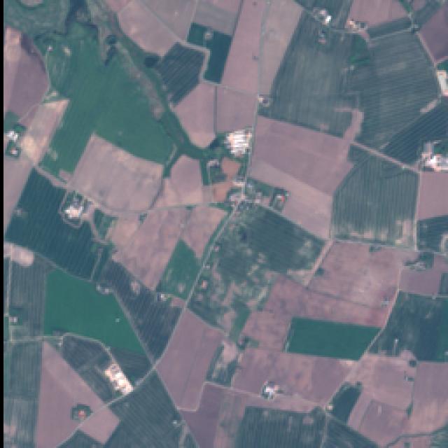 paddy Instance Segmentation Dataset by kamal