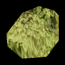 Trees_canopy Classification Dataset by JK research